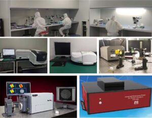 Gain Medium - Crylink