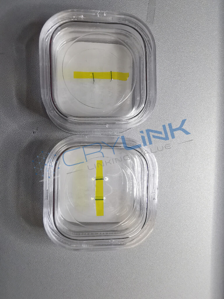 V: YAG Crystal Case (5) - Crylink