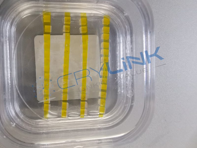 Er Glass Case (5) – 2*2*2.5mm - Crylink